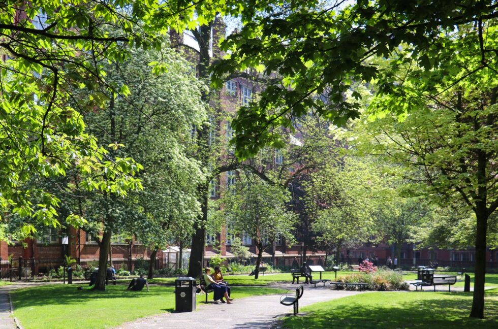Greater Manchester Leaders set out plans to restore biodiversity amid ...