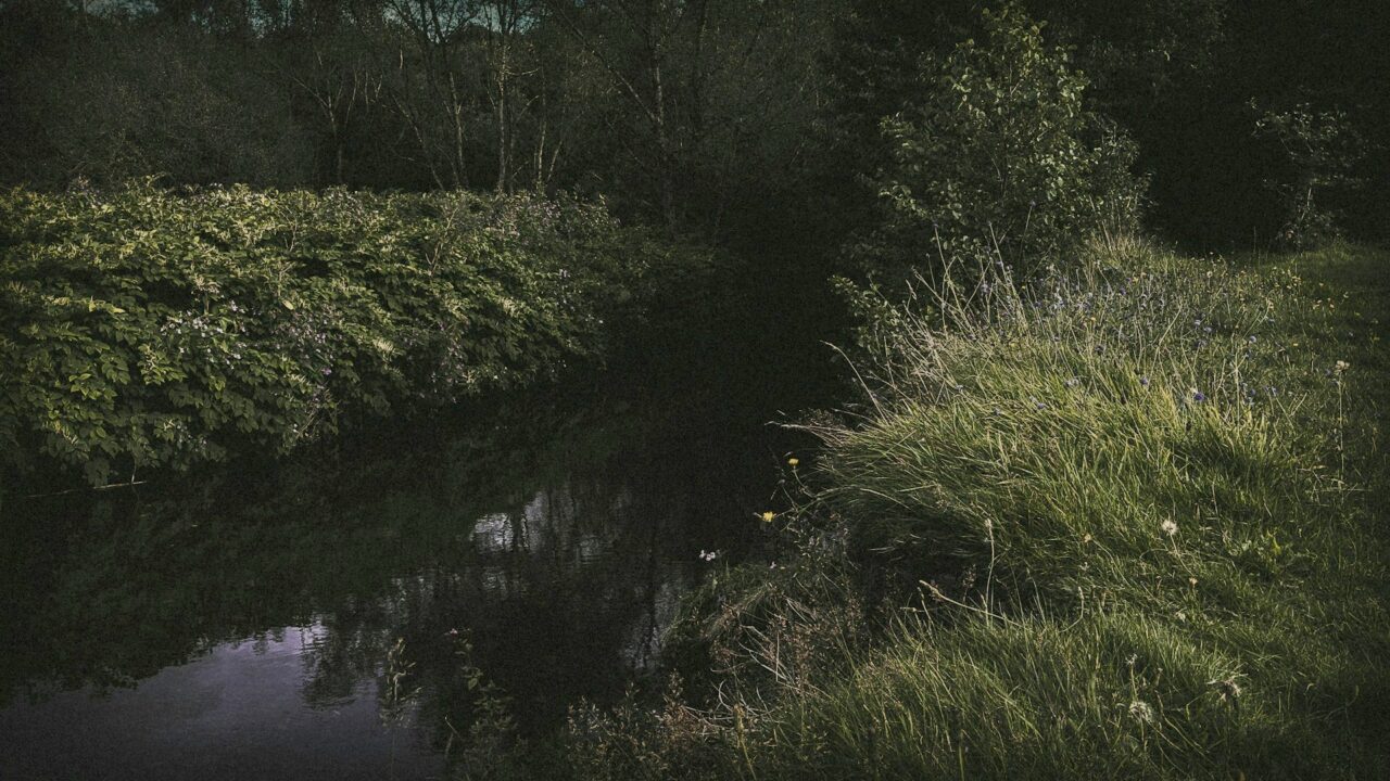 £1.2m investment to boost Medlock Valley biodiversity in flagship ...